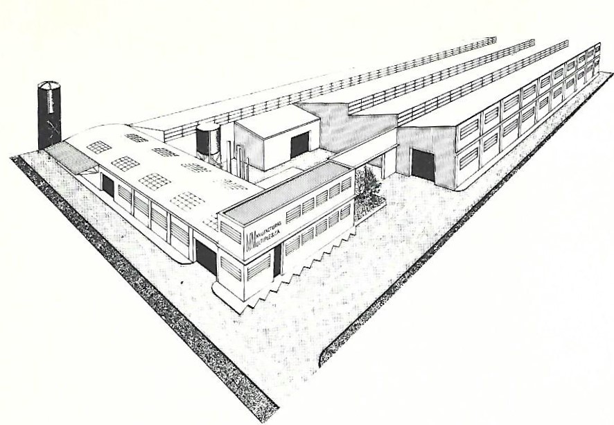 Historia | Mamusa Industrial
